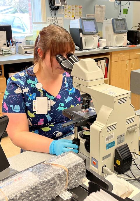 Medical Laboratory Technologist Career Profile | SaskHealthAuthority